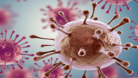 Biologia Net - Curiosidades e exercícios sobre biologia